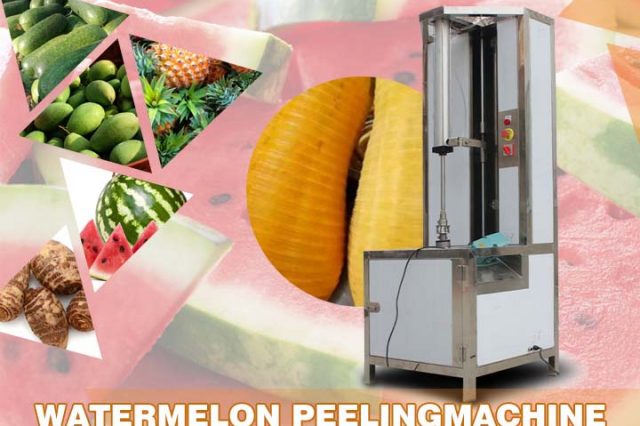 Taizy Food Machine - High-quality Food Machinery Manufacturer