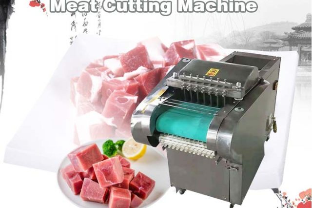 Taizy Food Machine - High-quality Food Machinery Manufacturer